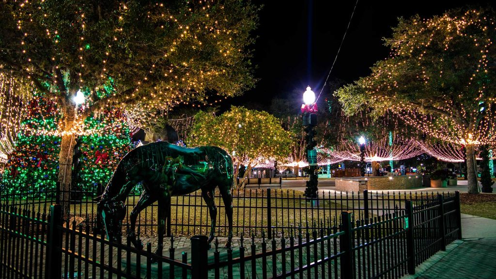 Ocala Dating: Find Meaningful Connections with eharmony