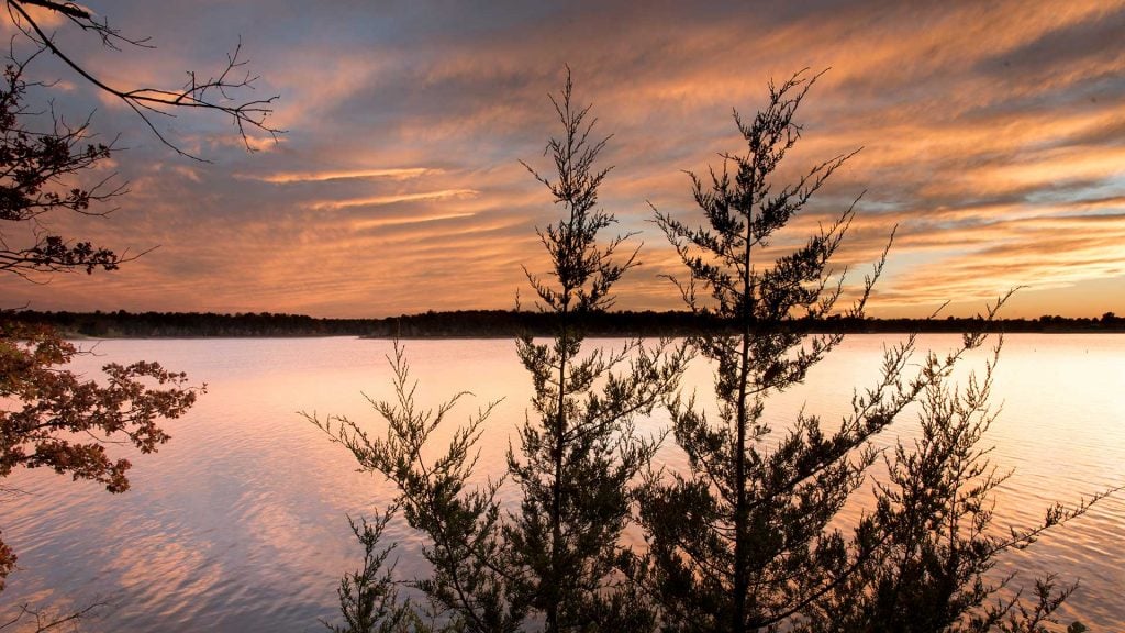 Springfield dating site: meet singles nearby who fit your vibe